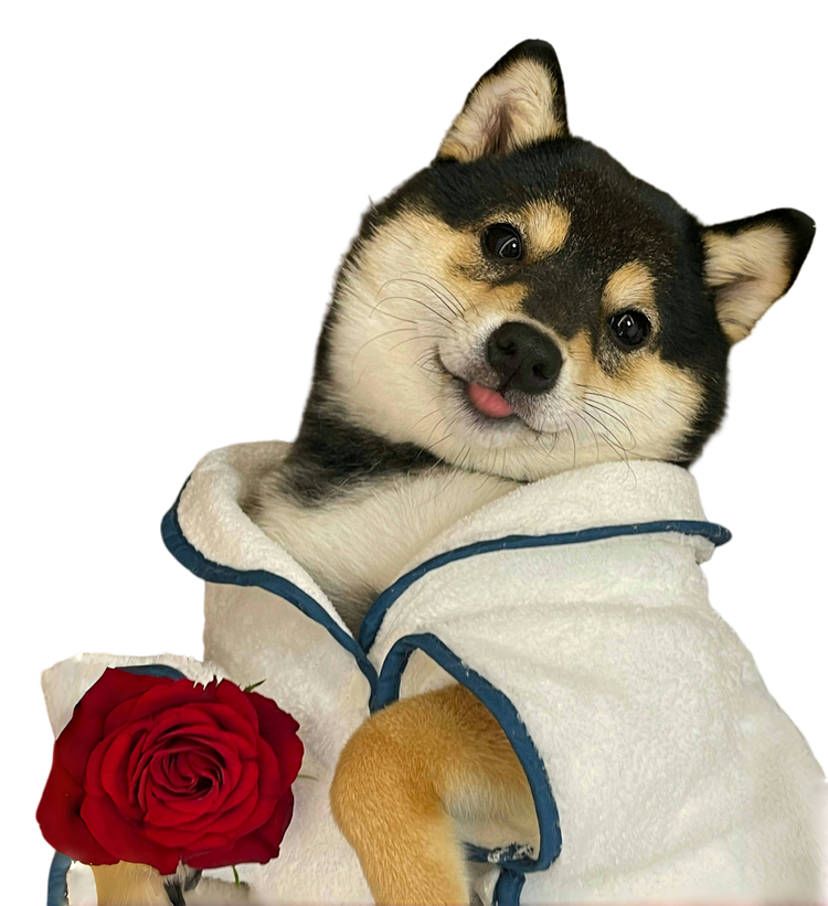 littlemanyu是鳗鱼不是曼玉 – ManyuLand