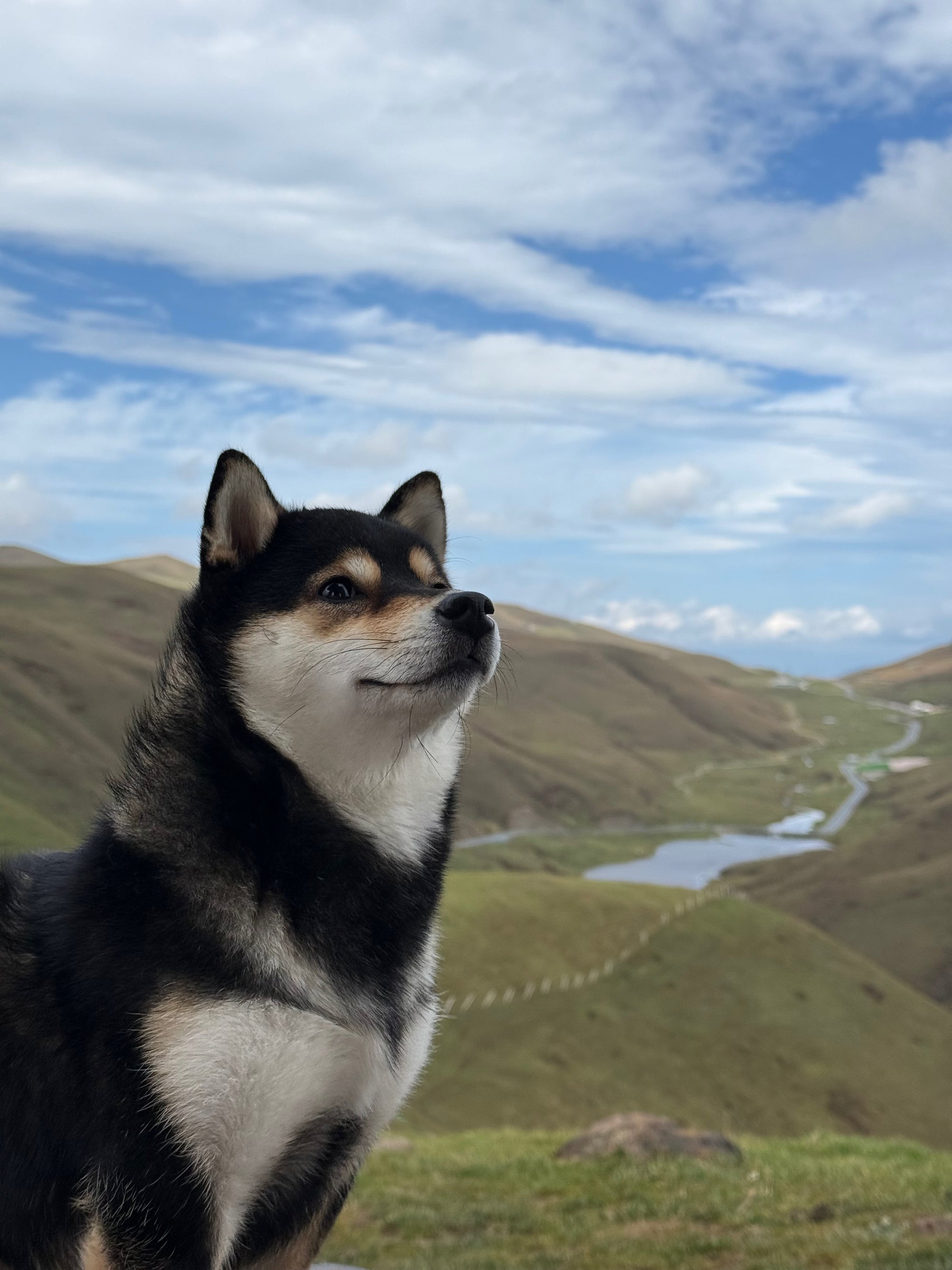 littlemanyu是鳗鱼不是曼玉 – ManyuLand