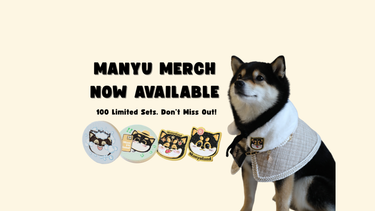 littlemanyu是鳗鱼不是曼玉 – ManyuLand