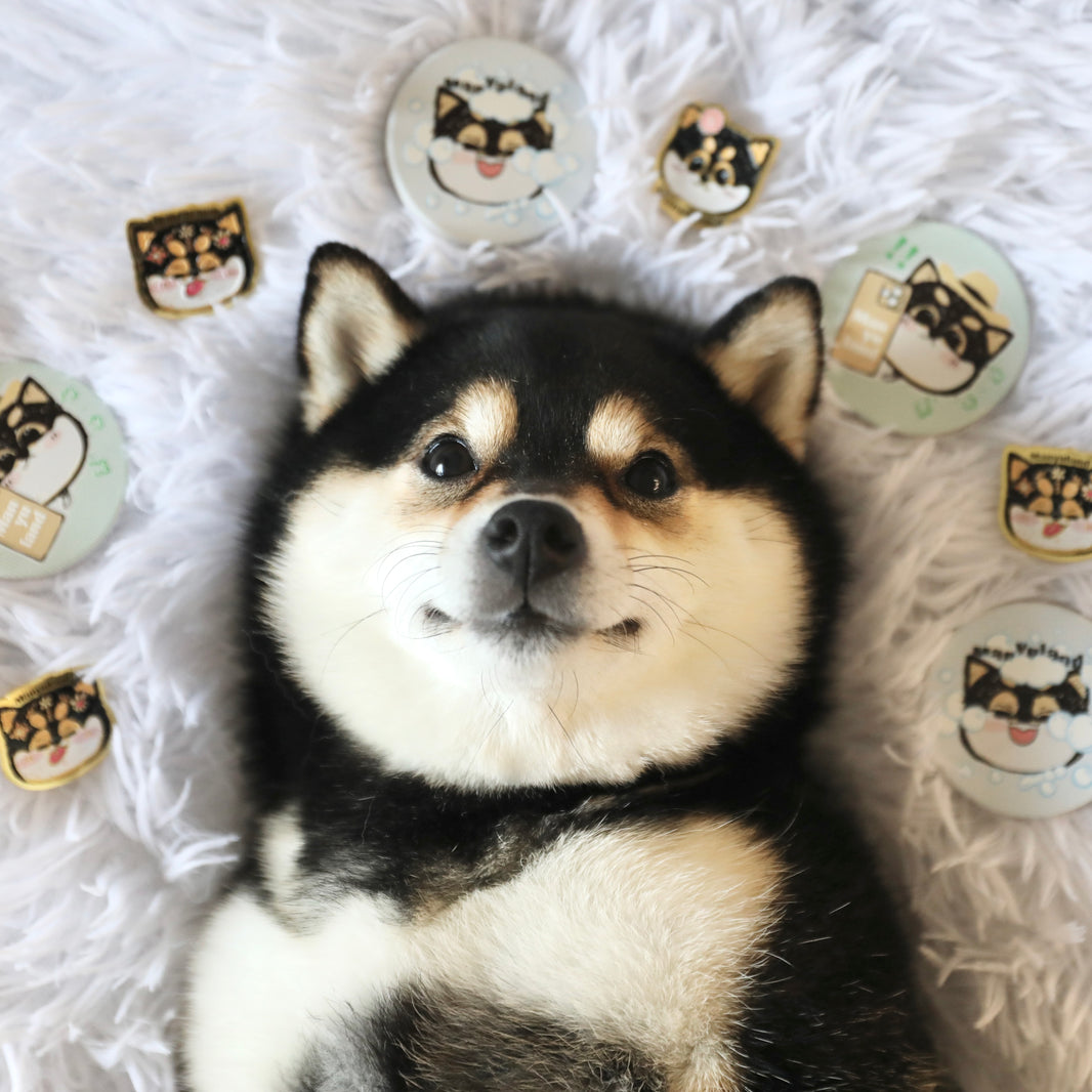 littlemanyu是鳗鱼不是曼玉 – ManyuLand