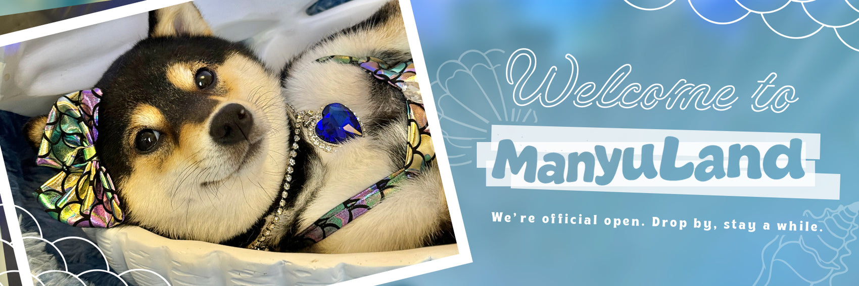 littlemanyu是鳗鱼不是曼玉 – ManyuLand