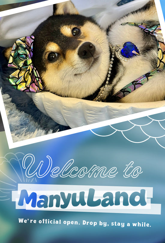 littlemanyu是鳗鱼不是曼玉 – ManyuLand