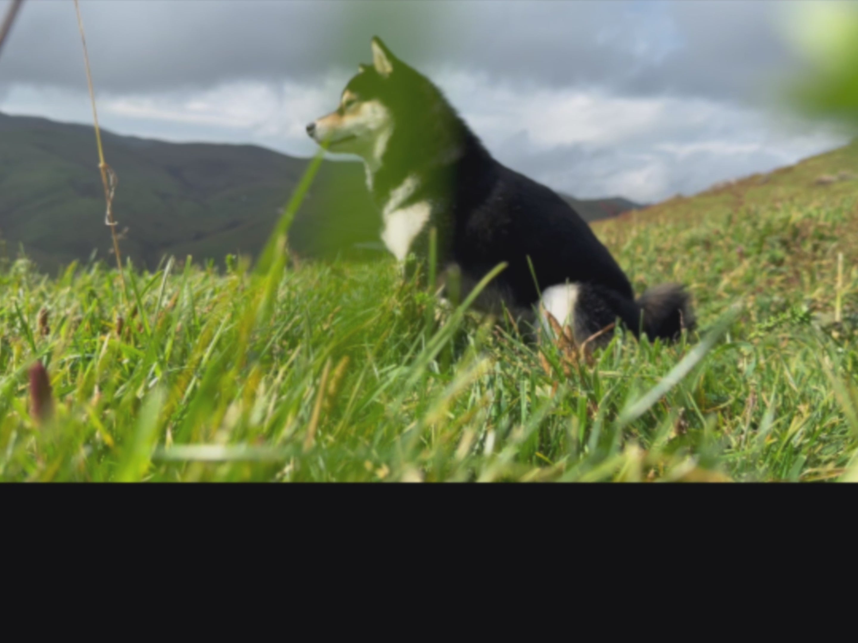 littlemanyu是鳗鱼不是曼玉 – ManyuLand